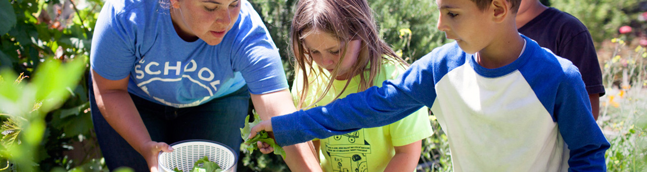 Topics Expanded Learning Edsource